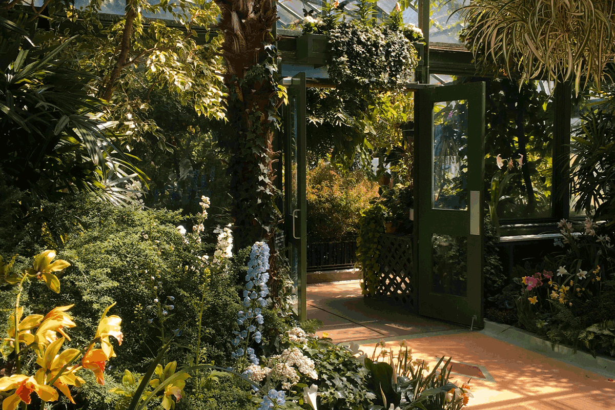 You can do it! The power of believing you can improve - FW