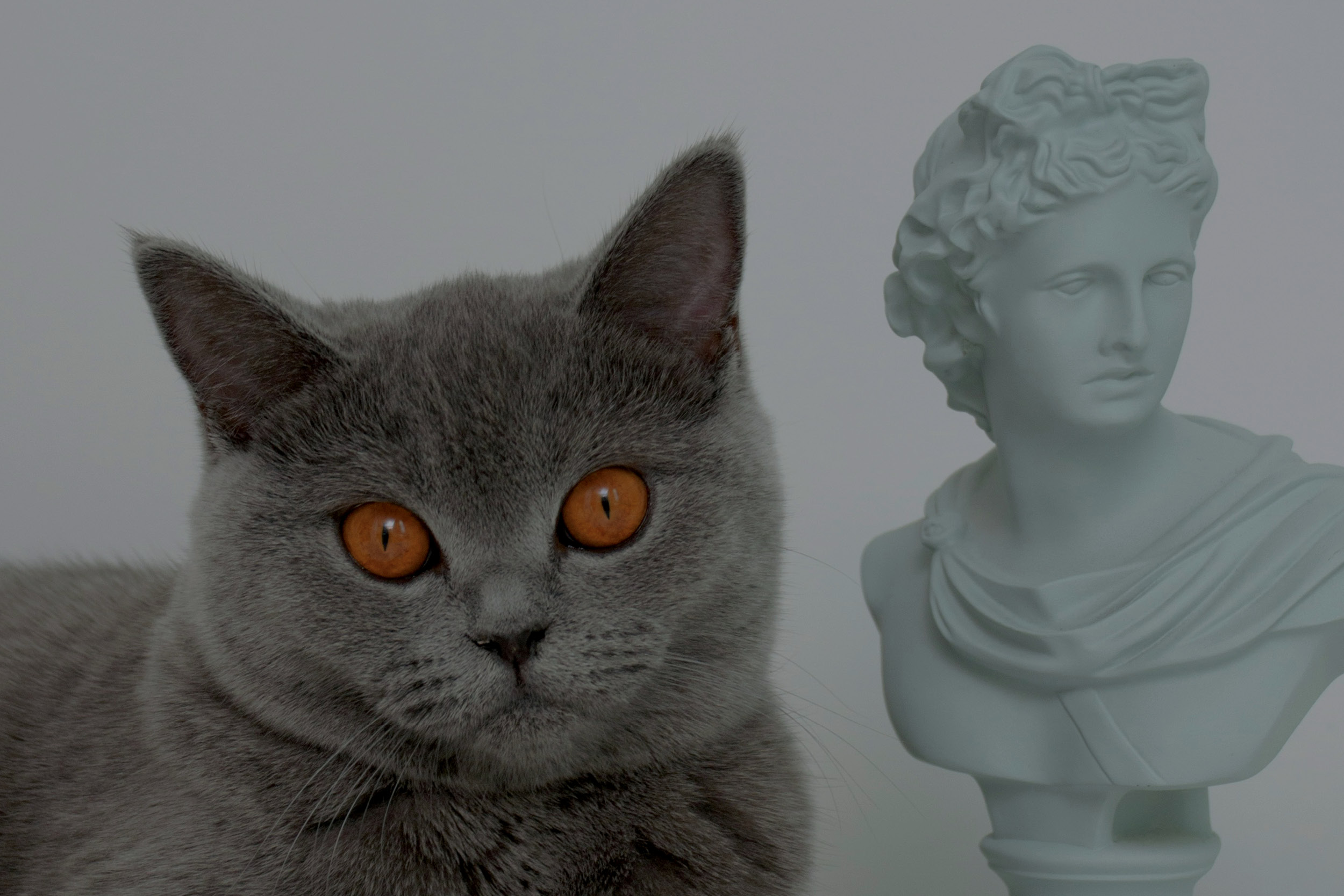 Carving spaces beyond industry norms - FW